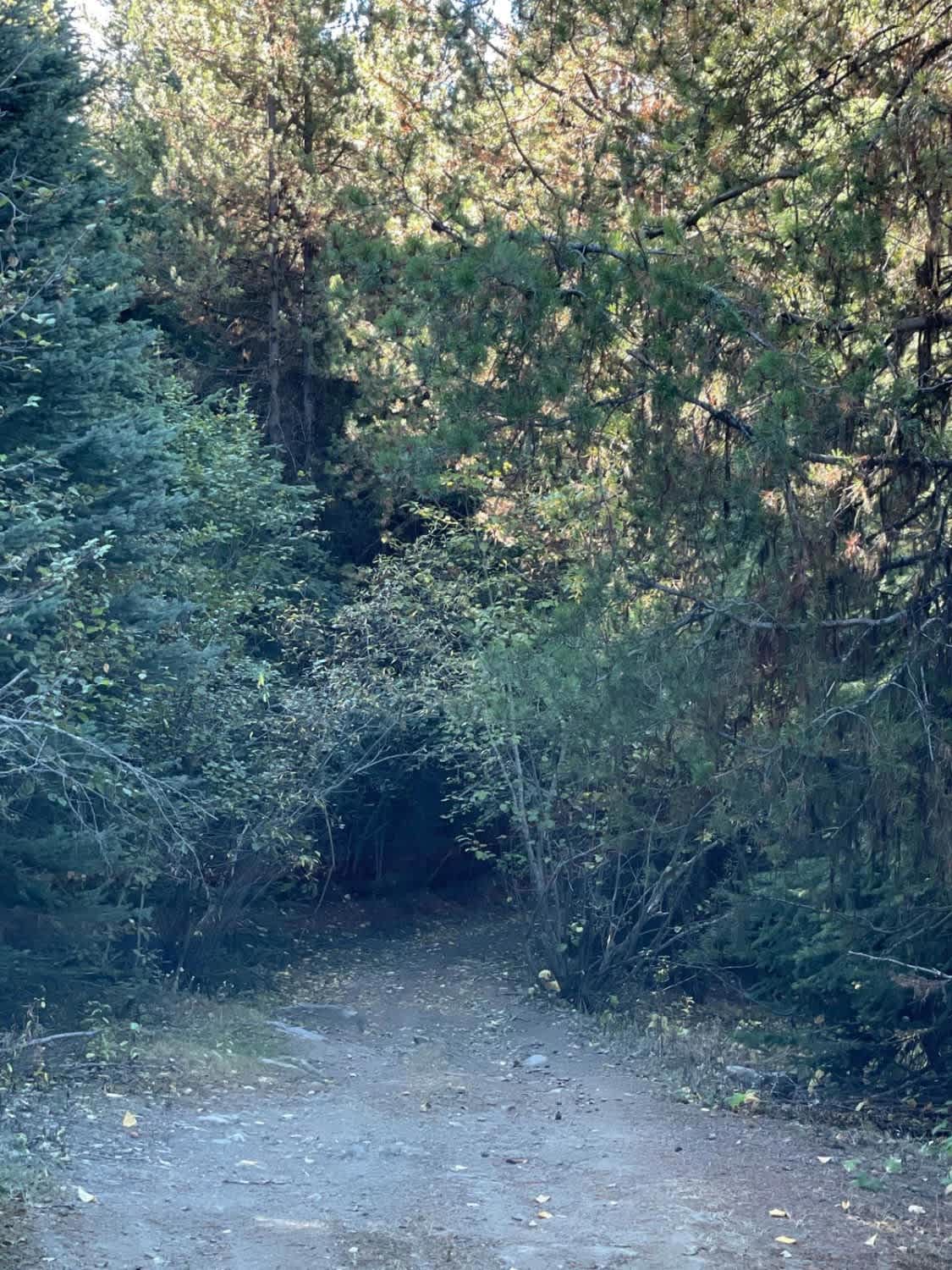 Tight Shortcut, British Columbia - GPS Trail Map, Conditions ...