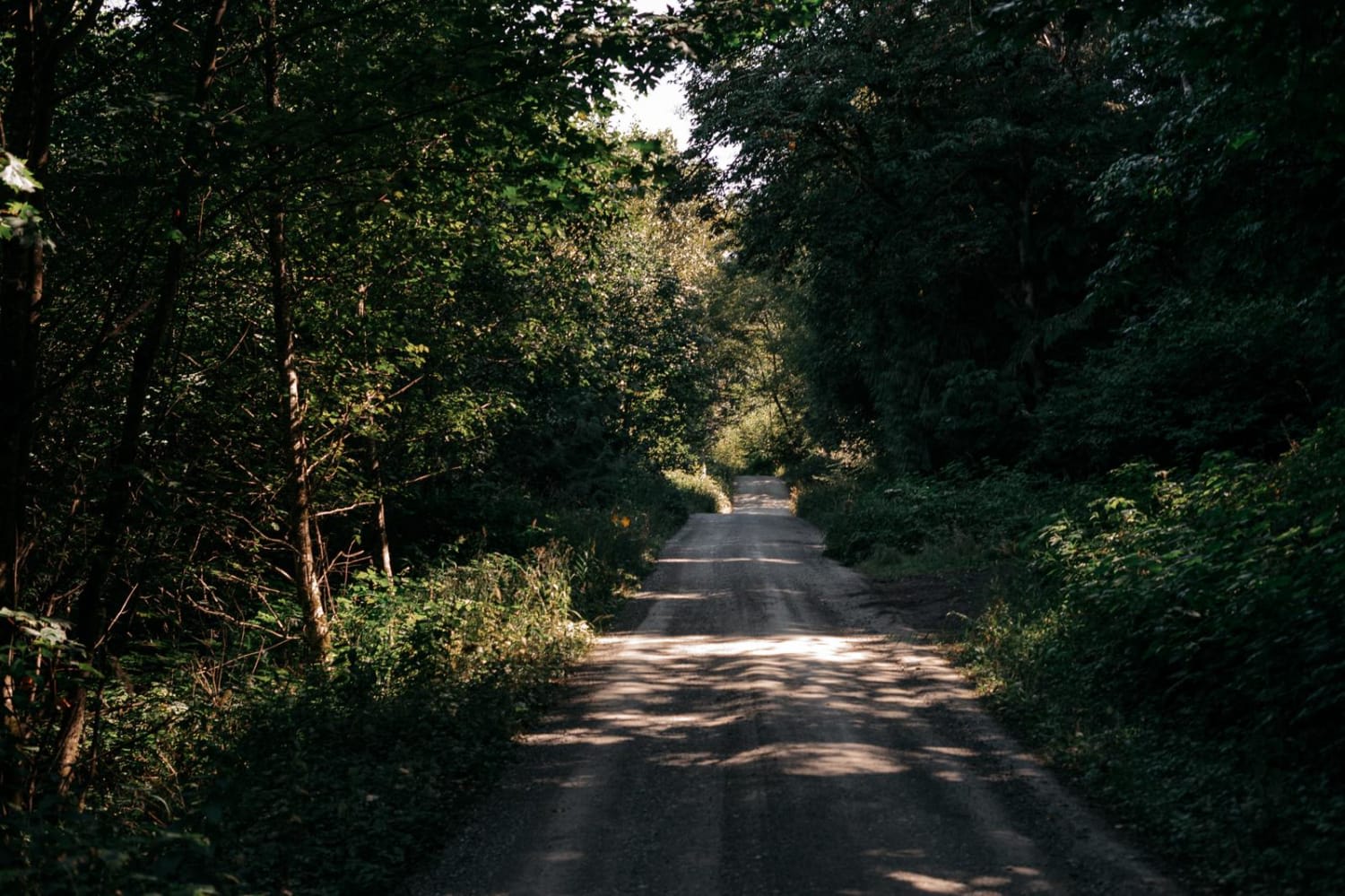 Gee Point, Washington - GPS Trail Map, Conditions & Difficulty | onX ...