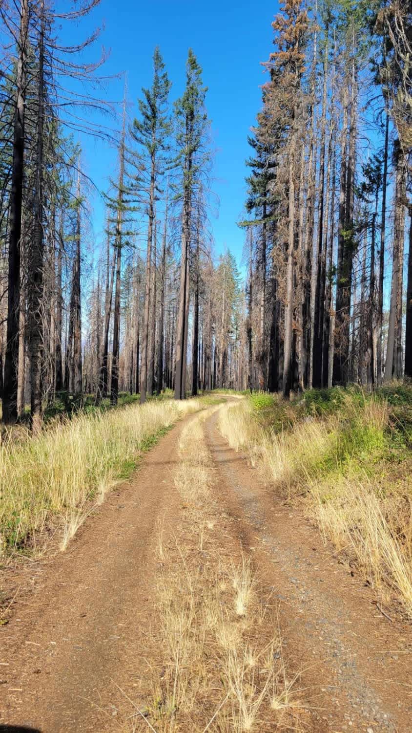 cave junction oregon