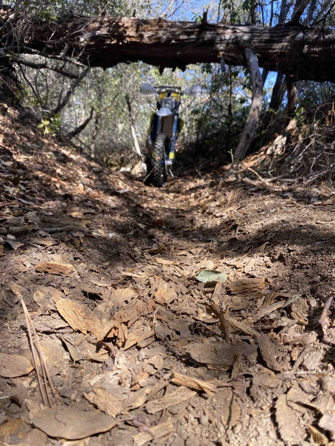 exploring san andreas