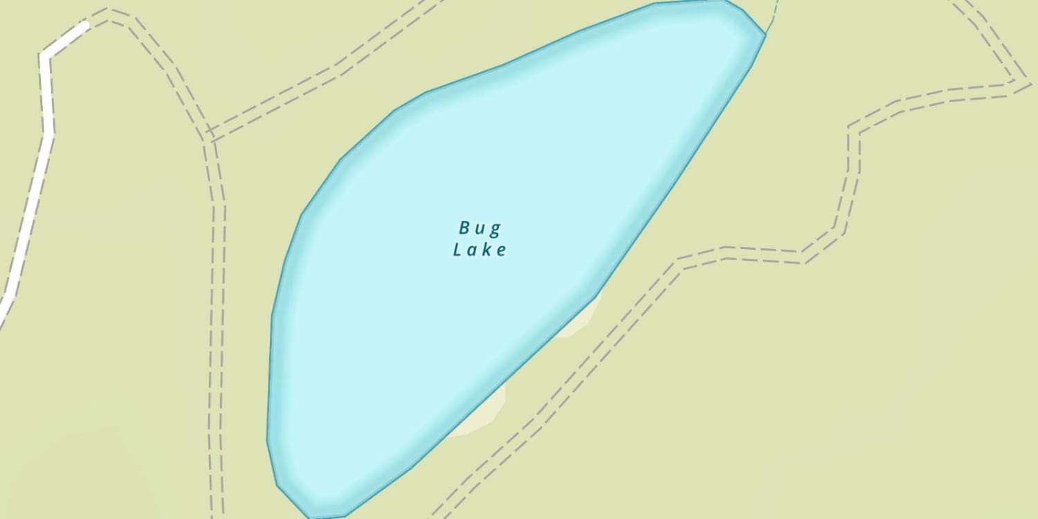 Bug Lake Fishing Maps, Tips, Regulations, and Hot Spots | onX Fish App