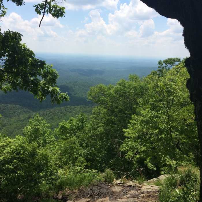 BMT: Segment 1a-1c (Springer Mountain to Three Forks/ FS 58) | Hiking ...
