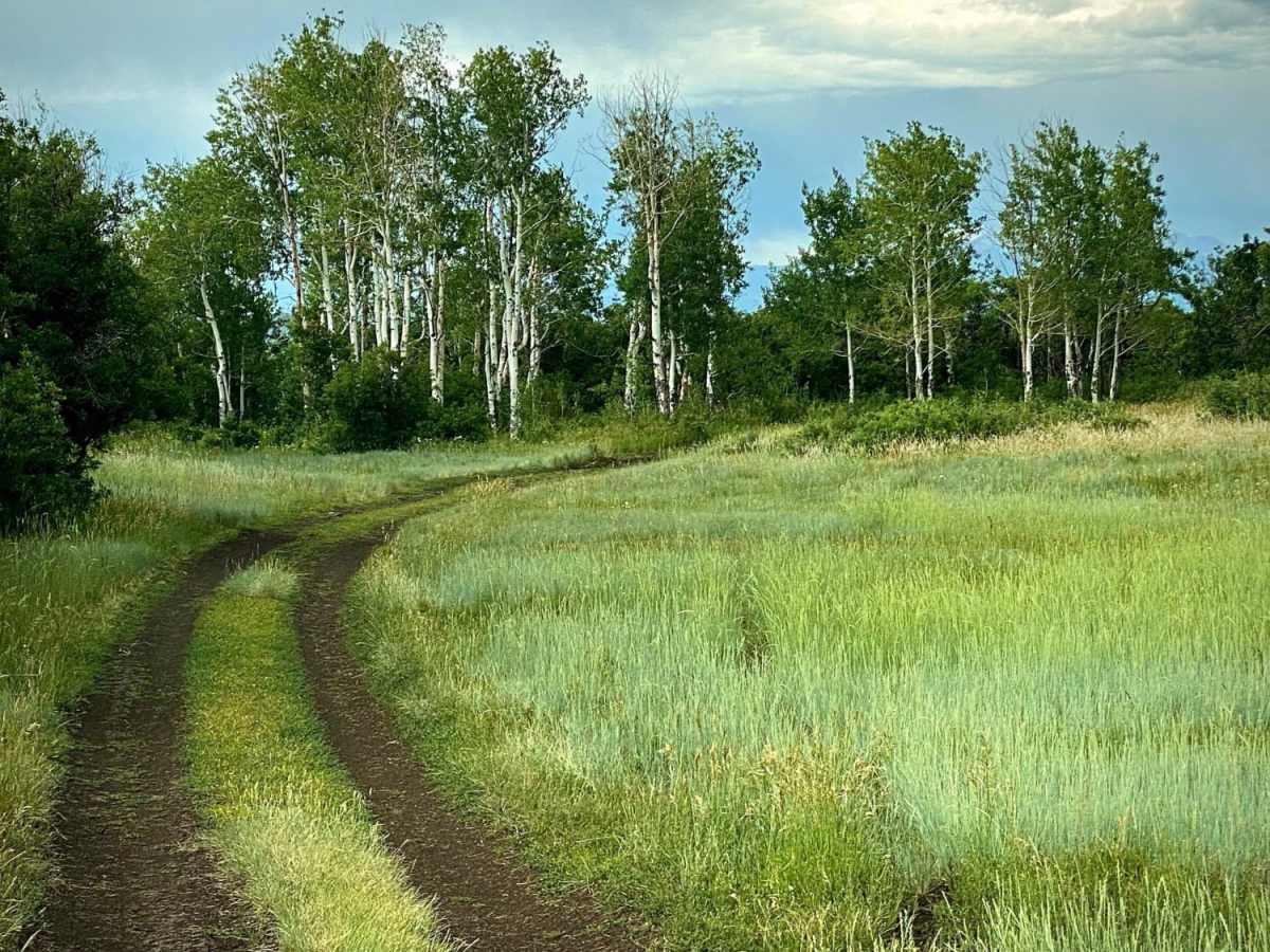 Fr Road 664 | Off-Road Trail Maps, Difficulty, Trail Status | onX Offroad