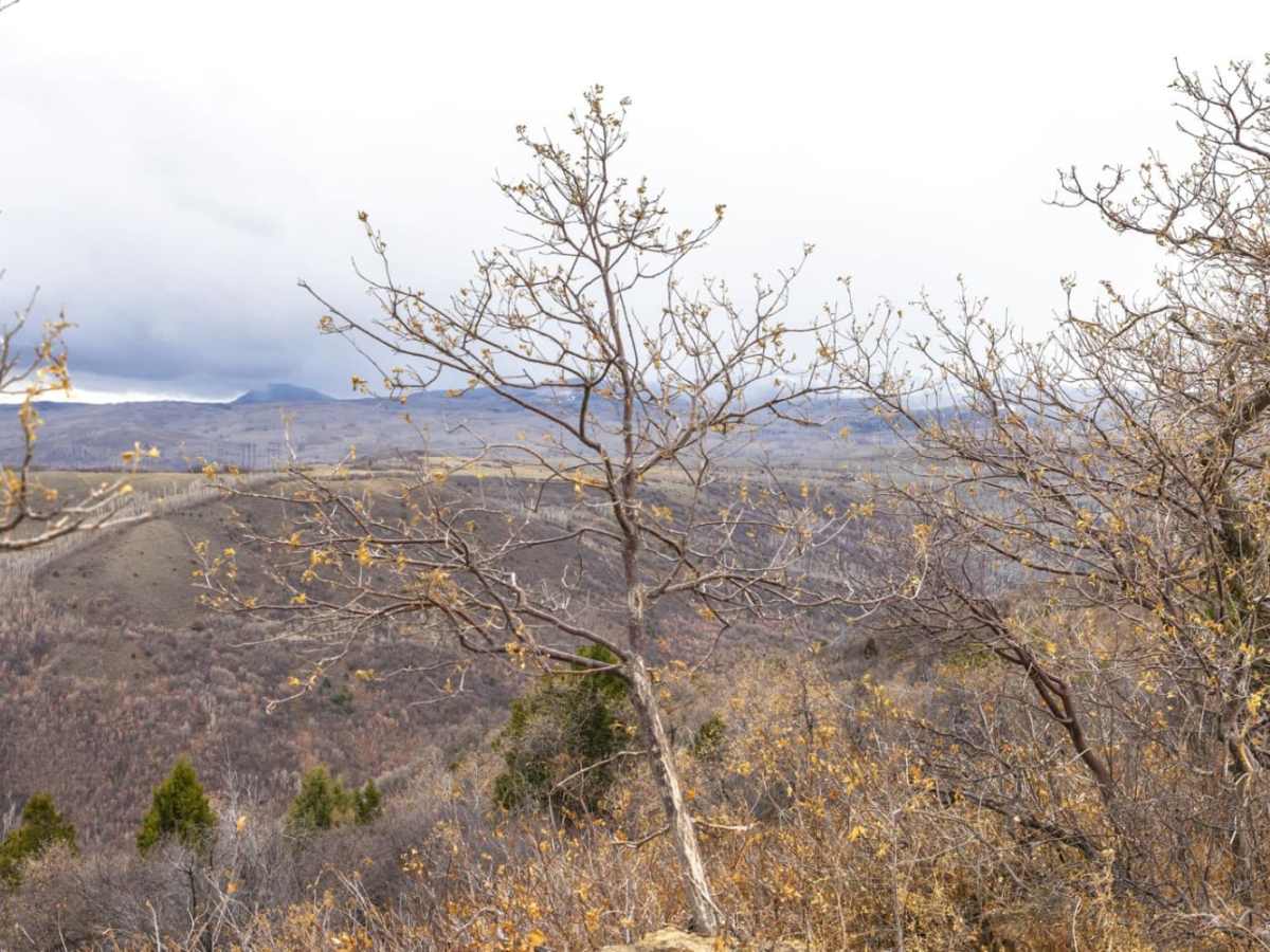 Catamount Road | Off-Road Trail Maps, Difficulty, Trail Status | onX ...