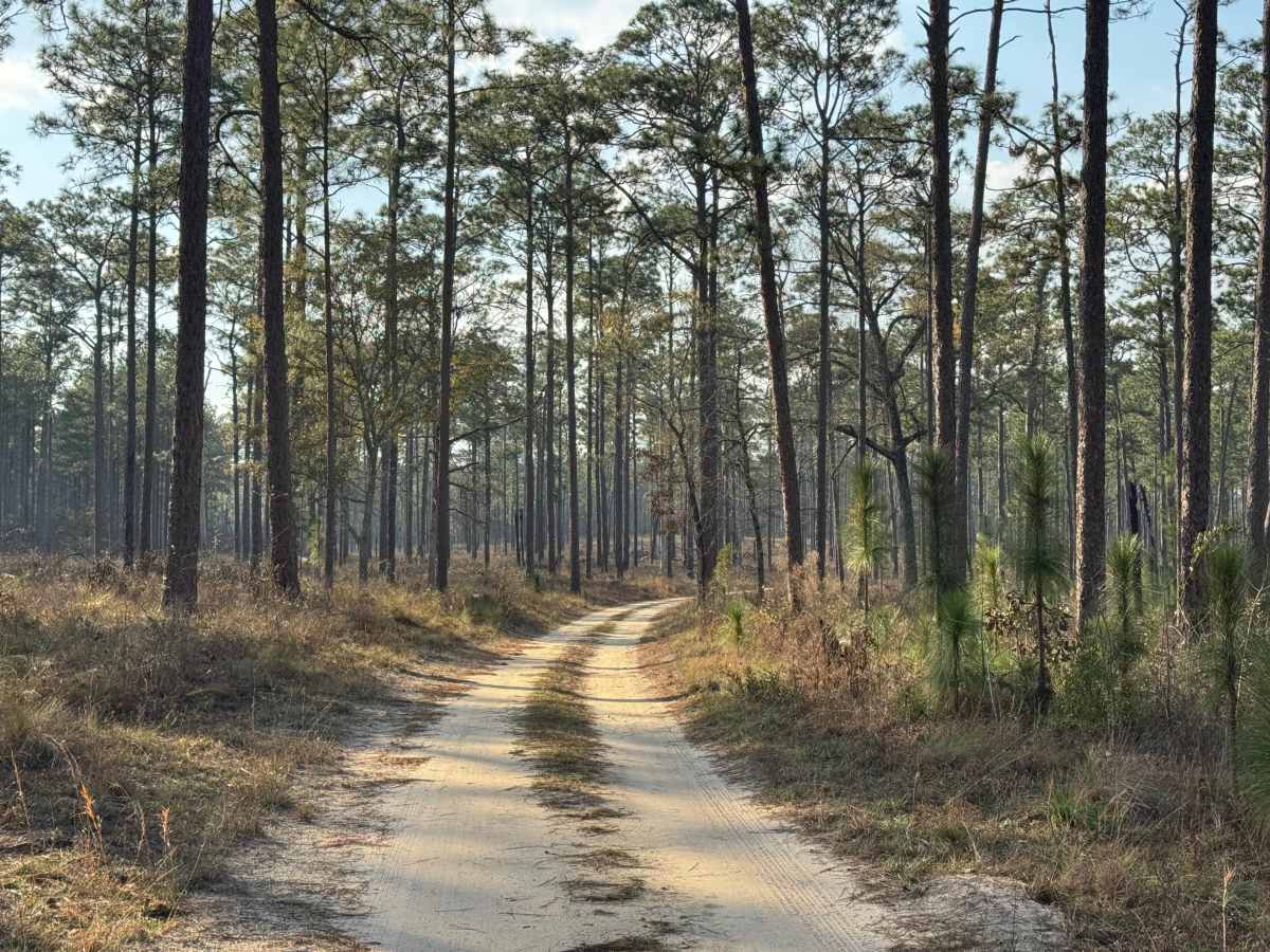 Lake Lane | Off-Road Trail Maps, Difficulty, Trail Status | onX Offroad