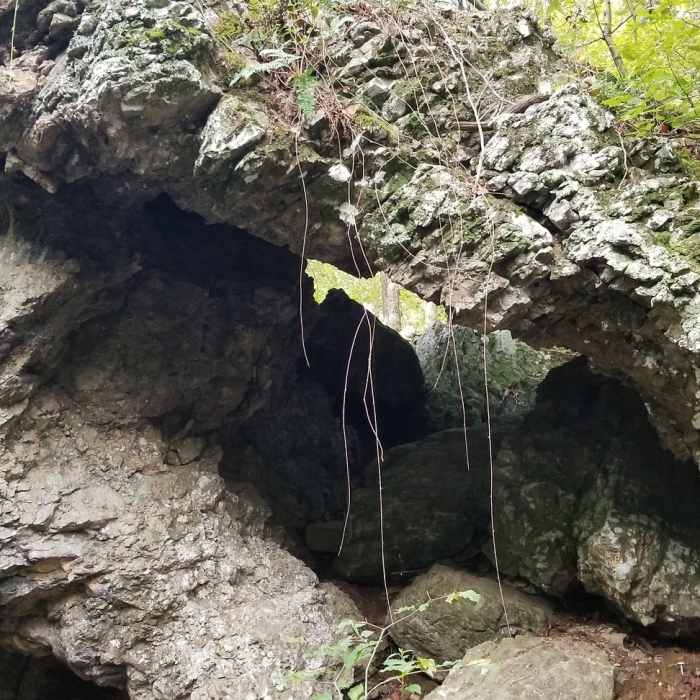 Viles Branch Equestrian Trail | Hiking Trail Maps, Difficulty, Trail ...