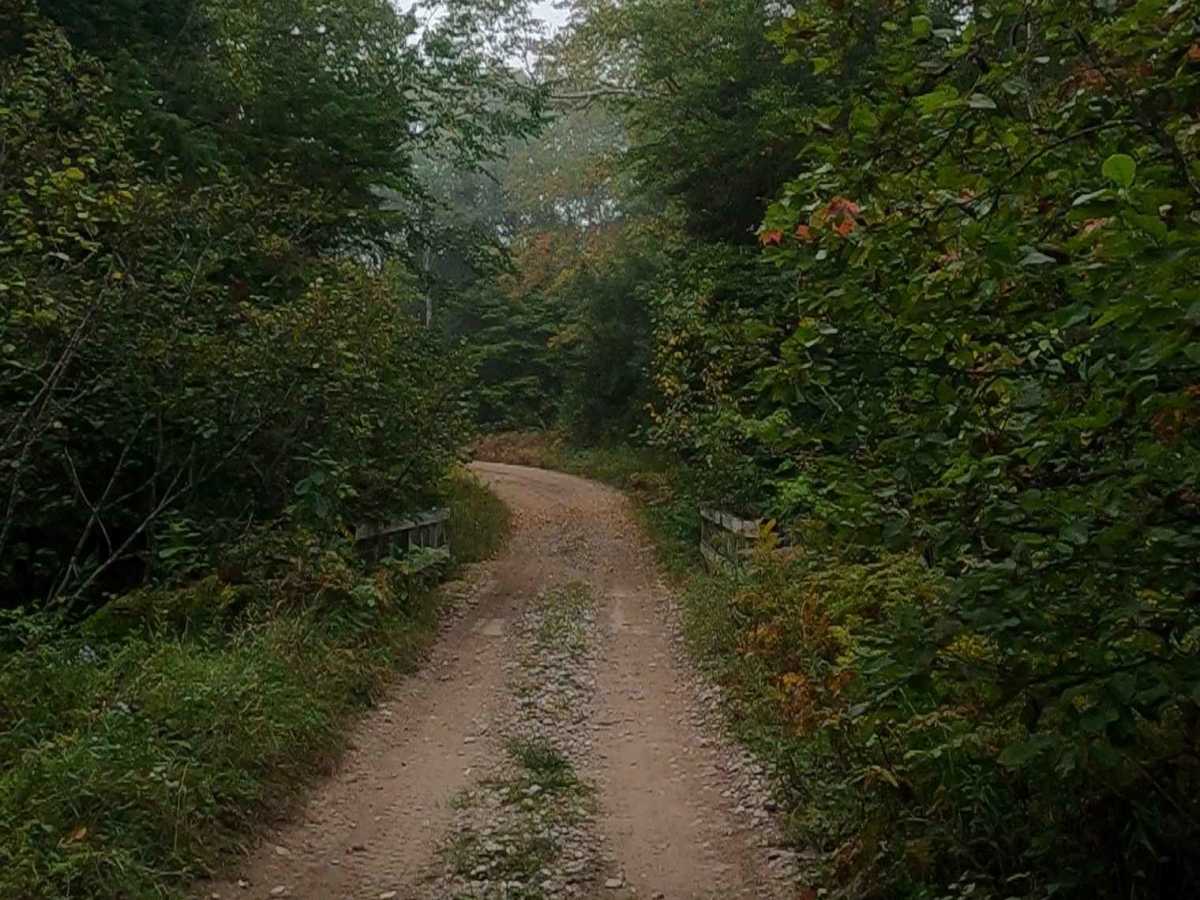 Paquinn Creek Road/ Sand Lake Road - FS 3374 (ORV Route A) | Off-Road ...