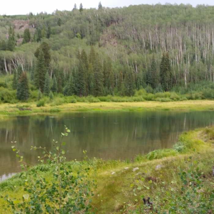Thompson Lake Trail | Hiking Trail Maps, Difficulty, Trail Status | onX