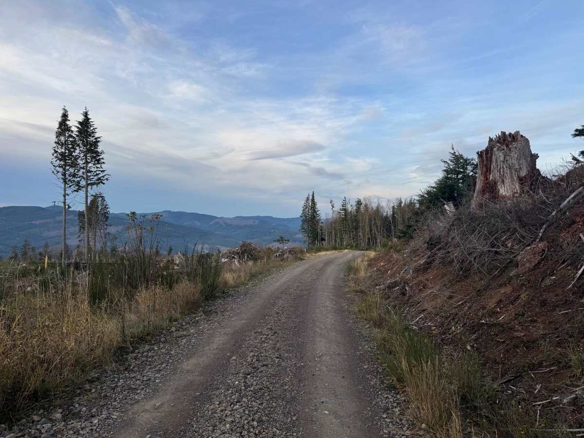Powder Horn Spur Road | Off-Road Trail Maps, Difficulty, Trail Status ...