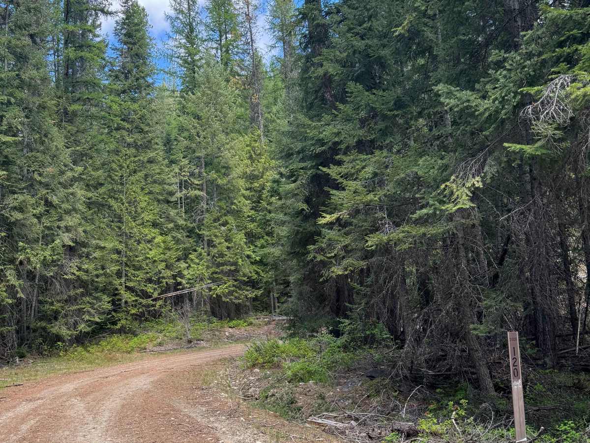 Bridge Creek - FS 2020-120 | Off-Road Trail Maps, Difficulty, Trail ...