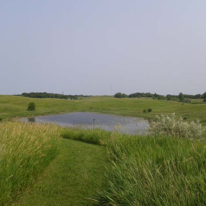 One Mile Prairie Loop | Hiking Trail Maps, Difficulty, Trail Status | onX