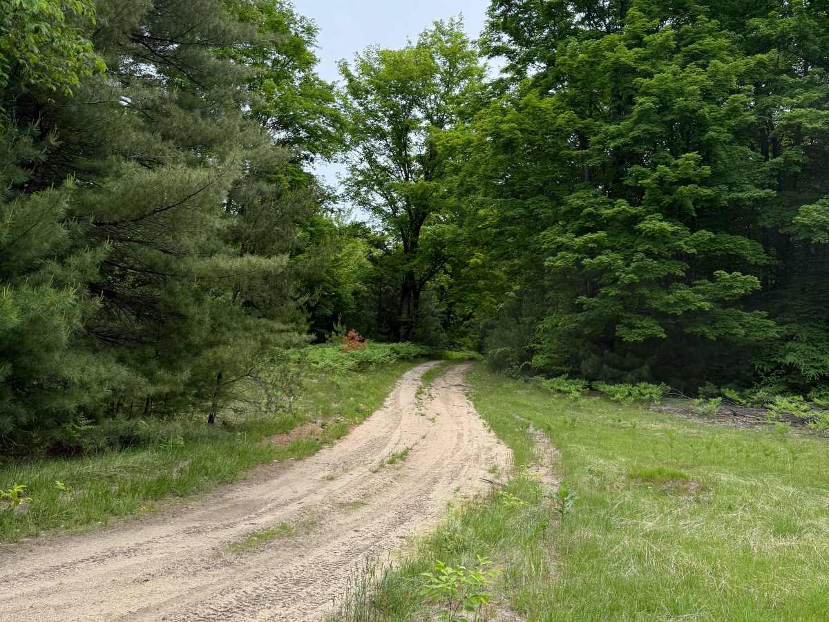 Old 72 Trail | Off-Road Trail Maps, Difficulty, Trail Status | onX Offroad