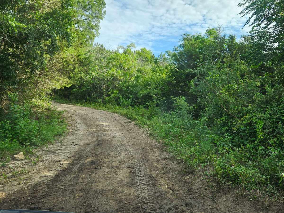 Gus's Gulch | Off-Road Trail Maps, Difficulty, Trail Status | onX Offroad