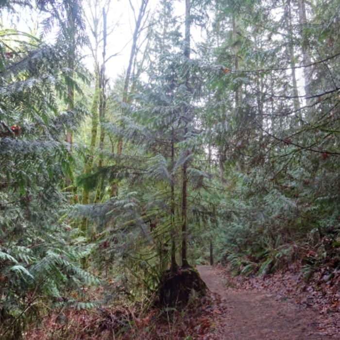 Powerline Trail | Hiking Trail Maps, Difficulty, Trail Status | onX