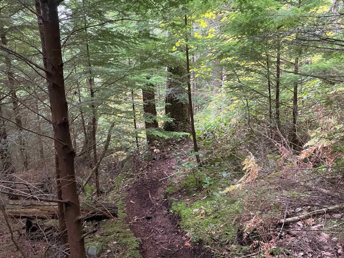 Easy Way | Off-Road Trail Maps, Difficulty, Trail Status | onX Offroad