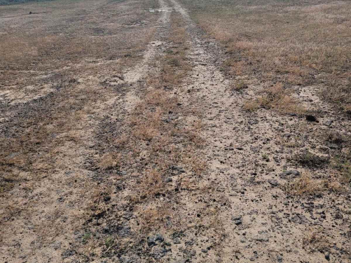 Prairie Dog Lane | Off-Road Trail Maps, Difficulty, Trail Status | onX ...