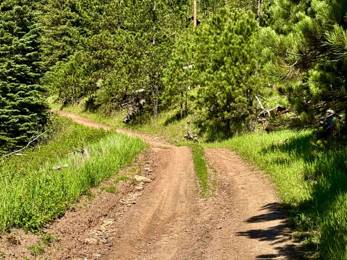 Beaver Draw - FS 233.2D | Off-Road Trail Maps, Difficulty, Trail Status ...