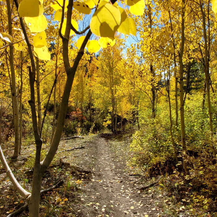 Mud Springs | Hiking Trail Maps, Difficulty, Trail Status | onX