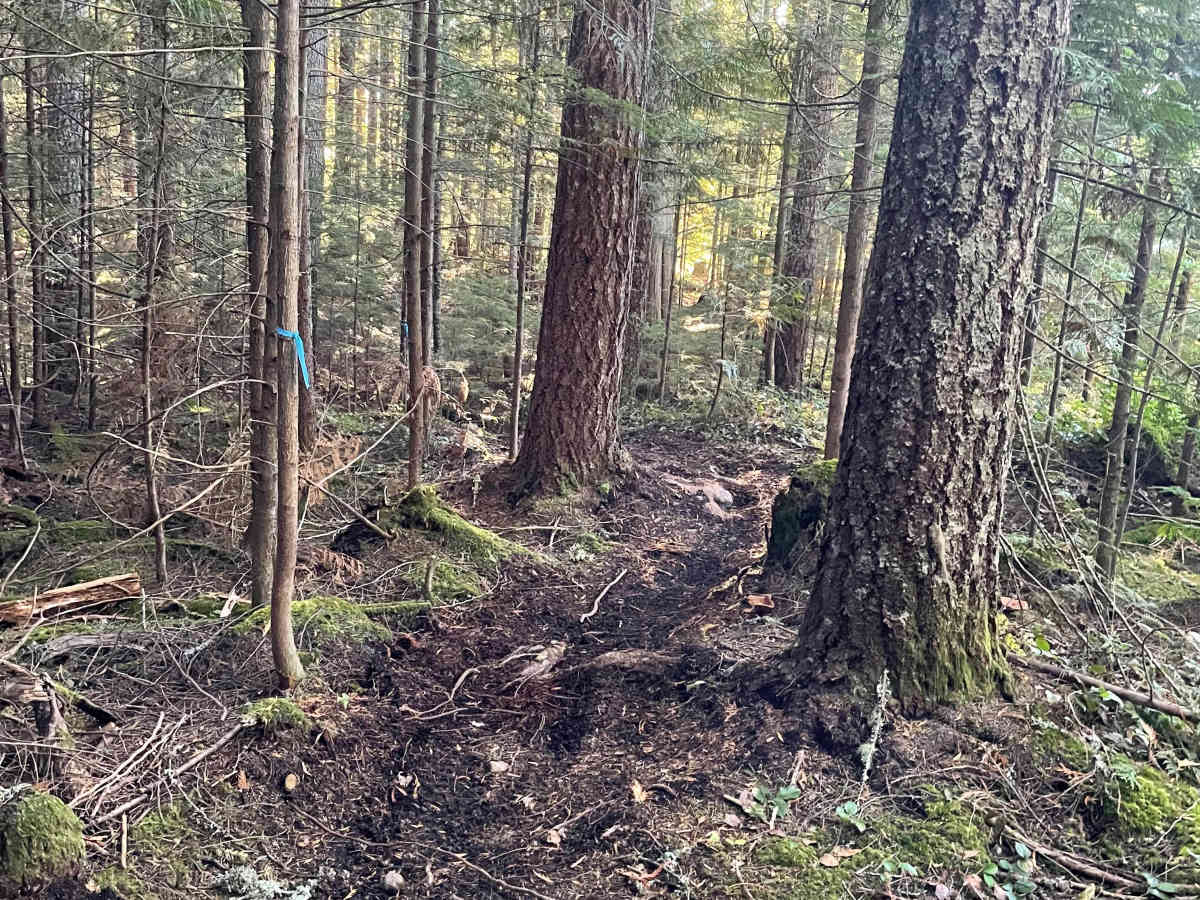 Mike's Xing - Cross Trainer Connector | Off-Road Trail Maps, Difficulty ...