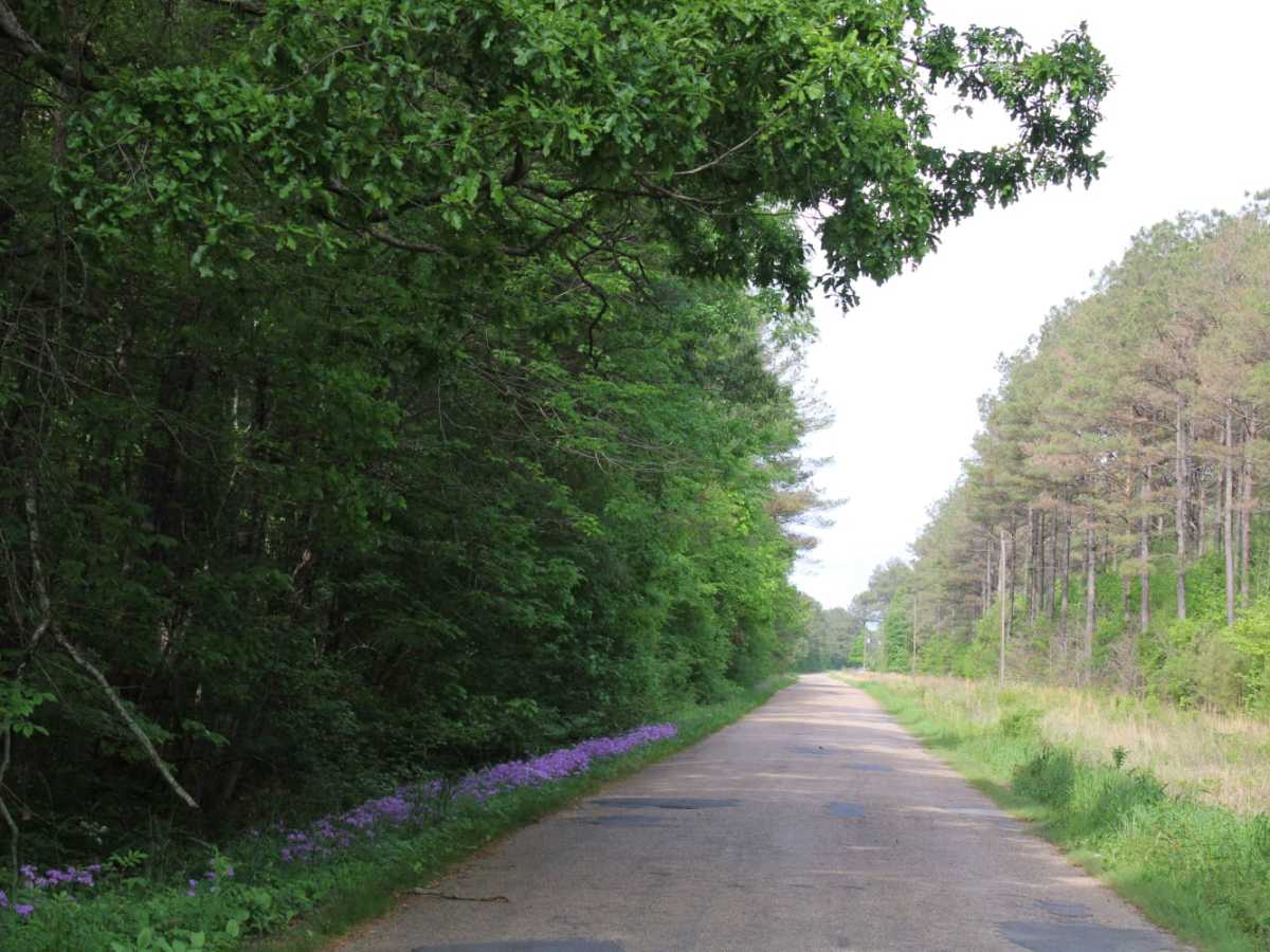 The Arkansas Overland Route - TrailHawk Loop - Section 23 | Off-Road ...