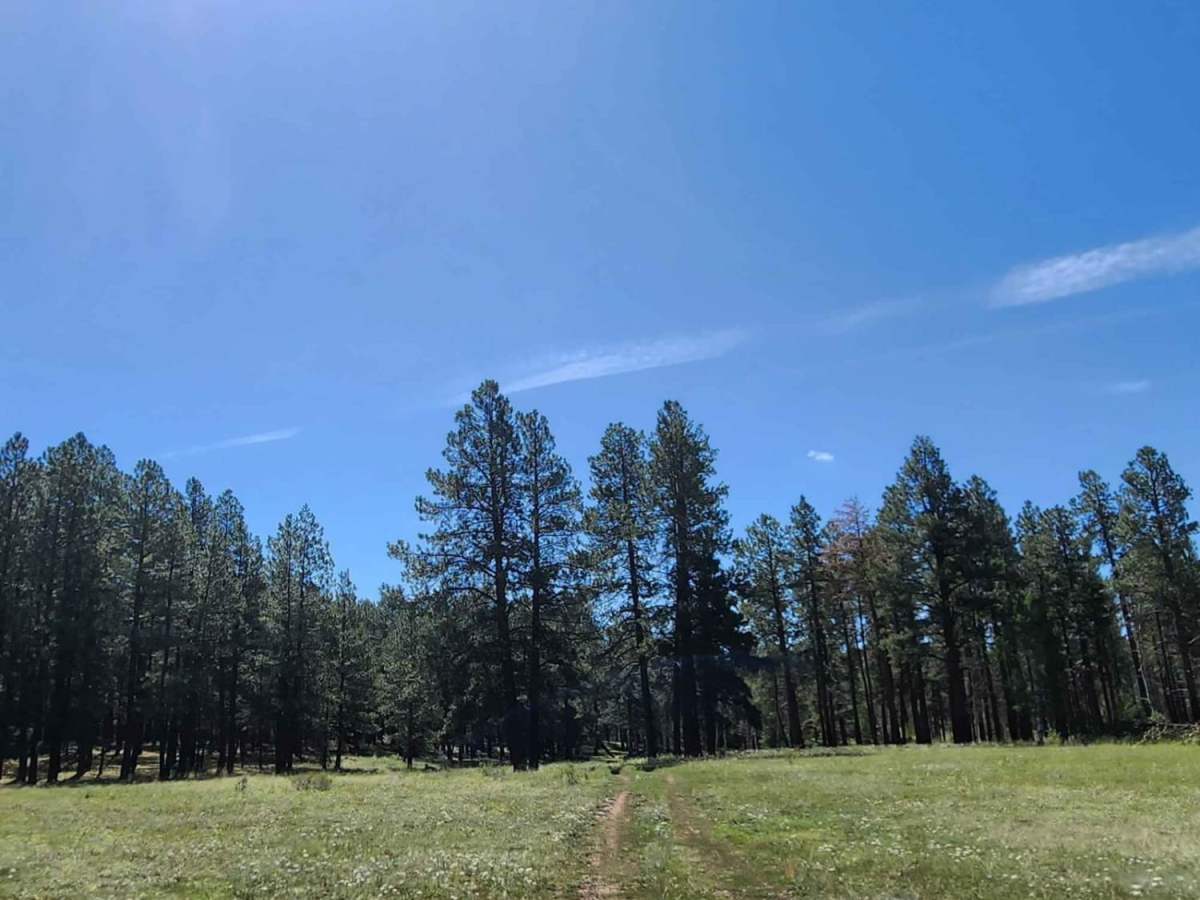 Beaver Point Road | Off-Road Trail Maps, Difficulty, Trail Status | onX ...