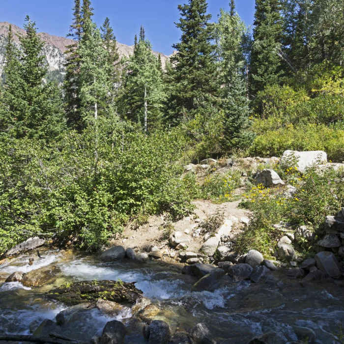 Lower Red Pine Lake Trail Hiking Trail | Map, Difficulty, Trail Status ...