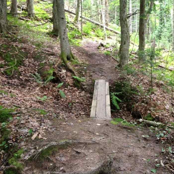 Sleeping Bear Loop | Hiking Trail Maps, Difficulty, Trail Status | onX