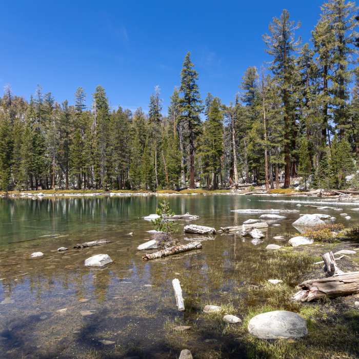 Jennie Lake Out and Back Hiking Trail | Map, Difficulty, Trail Status | onX