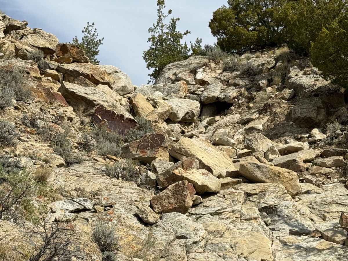 Barbie's Dreamhouse | Off-Road Trail Maps, Difficulty, Trail Status ...