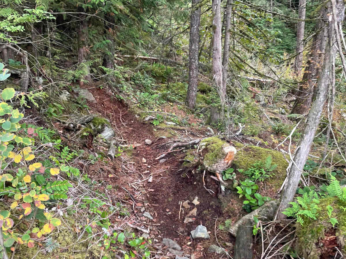 Loose as a Goose | Off-Road Trail Maps, Difficulty, Trail Status | onX ...