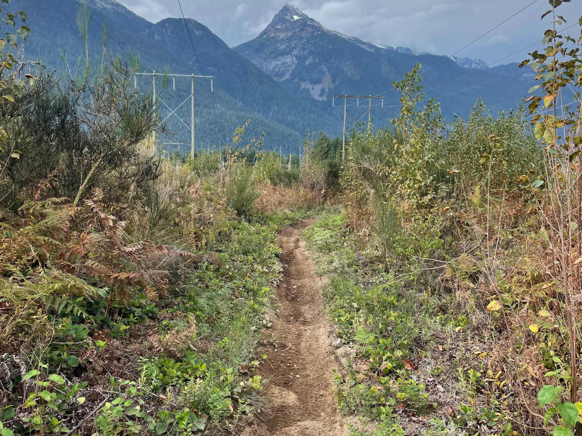 Rob’s Rip | Off-Road Trail Maps, Difficulty, Trail Status | onX Offroad