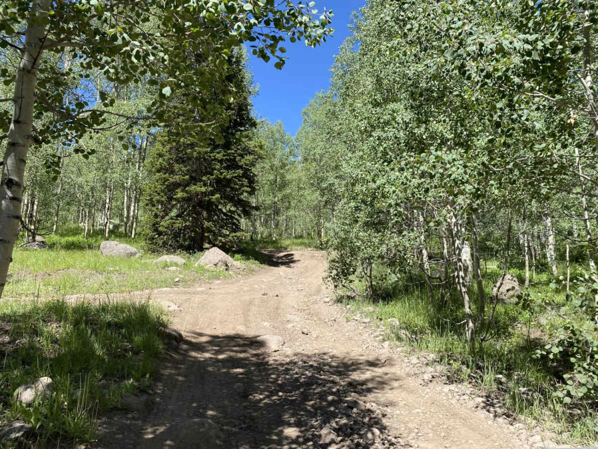 Gates Lake Road | Off-Road Trail Maps, Difficulty, Trail Status | onX ...