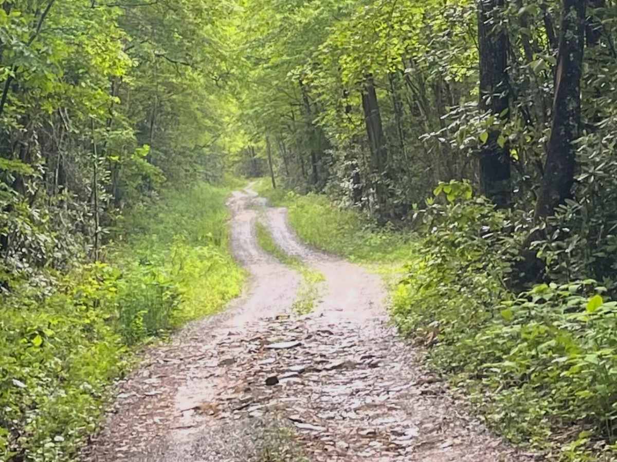 Glade Mountain | Off-Road Trail Maps, Difficulty, Trail Status | onX ...