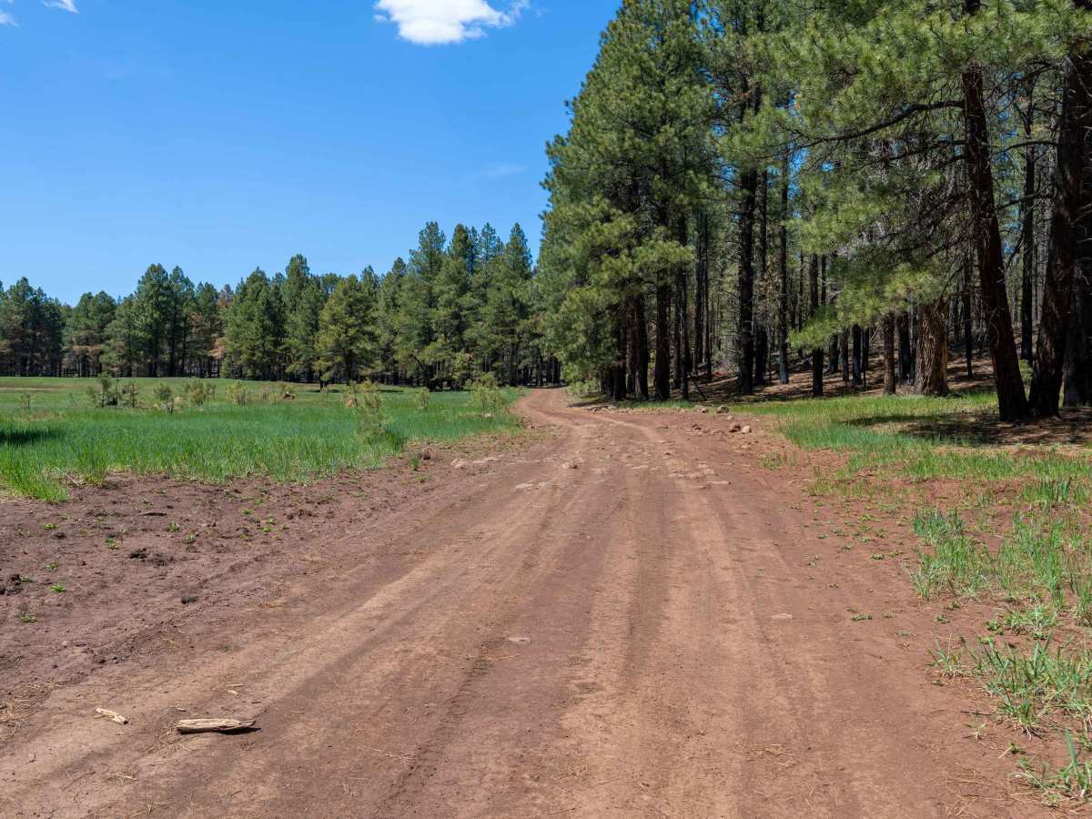 Norris Tank - FS 538J | Off-Road Trail Maps, Difficulty, Trail Status ...