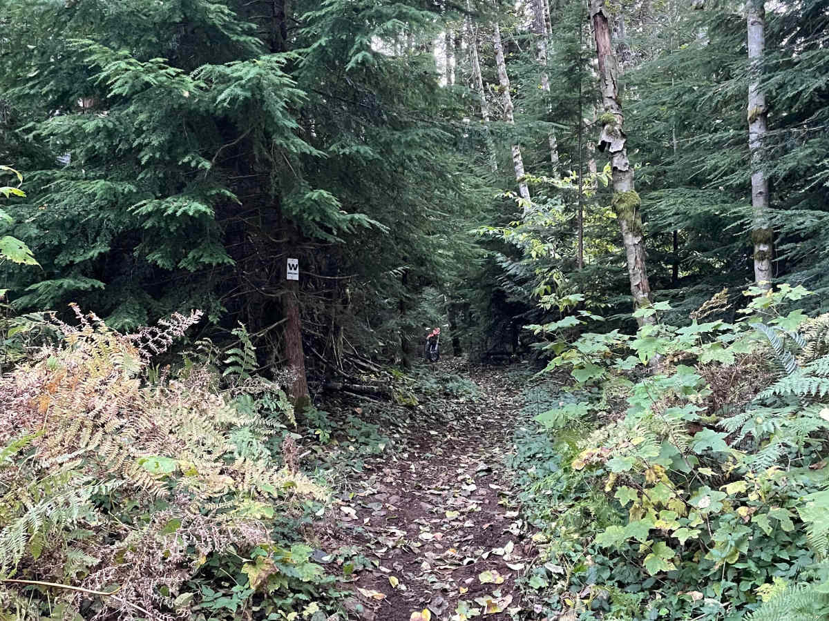 Connection Junction | Off-Road Trail Maps, Difficulty, Trail Status ...