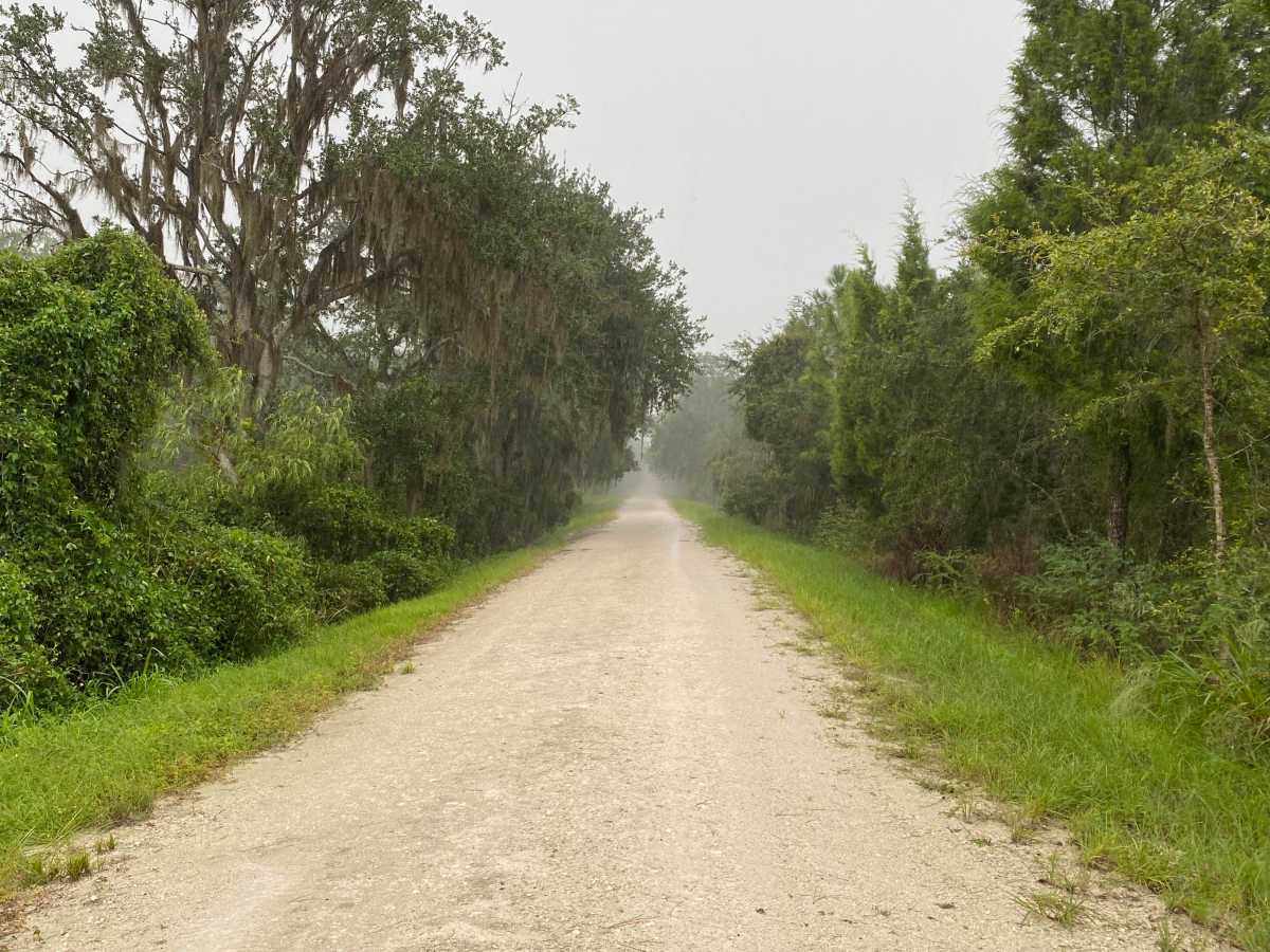 Paddling Trail Road | Off-Road Trail Maps, Difficulty, Trail Status ...