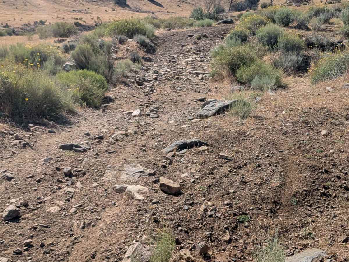 Little Dry Meadow | Off-Road Trail Maps, Difficulty, Trail Status | onX ...