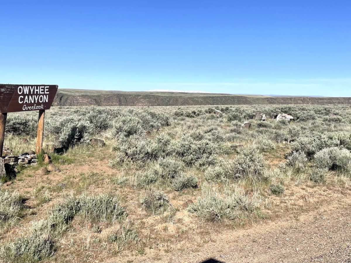 Three Forks Road North - BLM 6366-0-00 | Off-Road Trail Maps ...