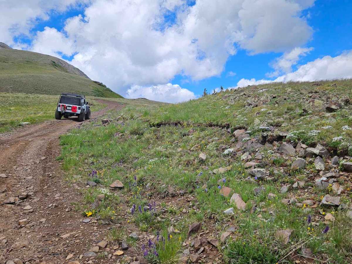 Greyback Road | Off-Road Trail Maps, Difficulty, Trail Status | onX Offroad