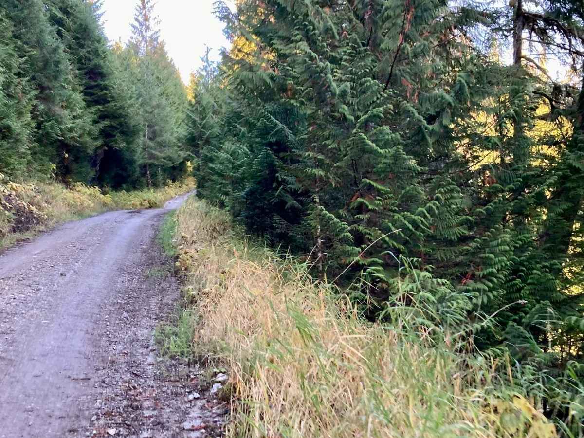 Loon Lake Road - FS 2060100 | Off-Road Trail Maps, Difficulty, Trail ...