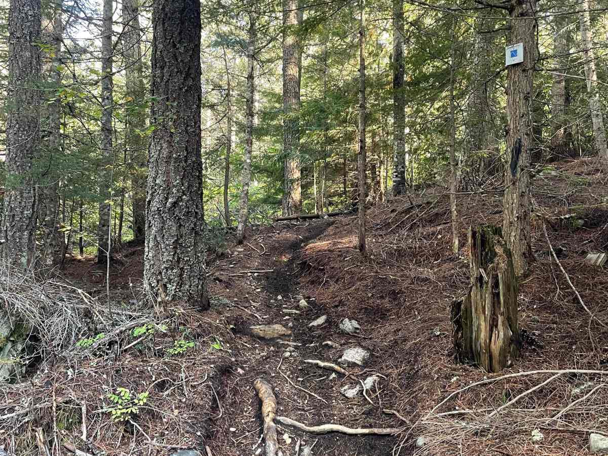Ground Control | Off-Road Trail Maps, Difficulty, Trail Status | onX ...