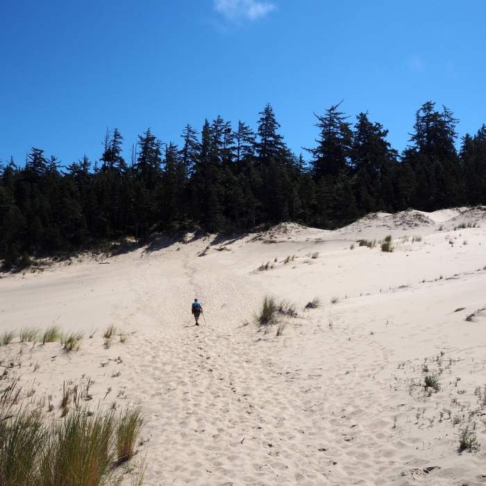 Tahkenitch Dunes Trail #1353 | Hiking Trail Maps, Difficulty, Trail ...