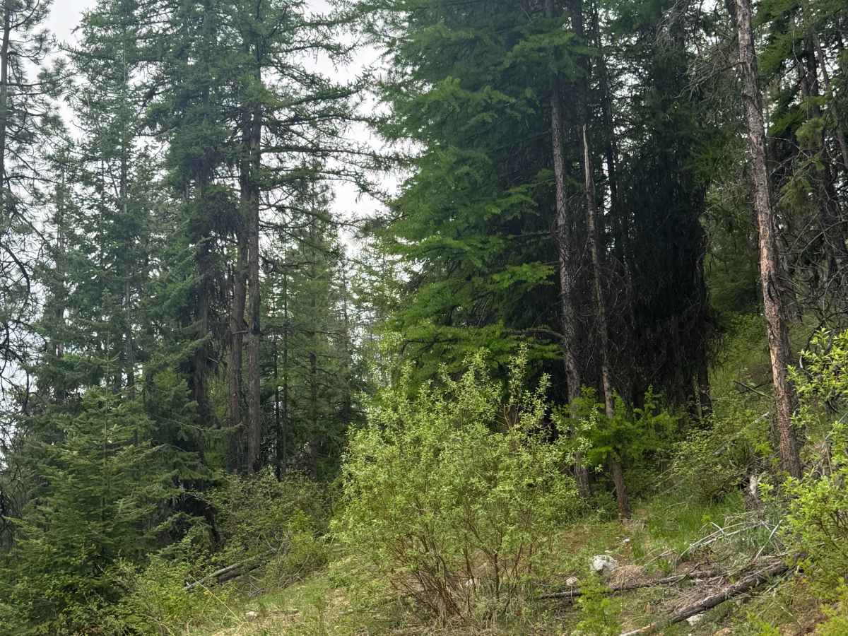 Hart Creek Ridge - FS 2000-325 | Off-Road Trail Maps, Difficulty, Trail ...