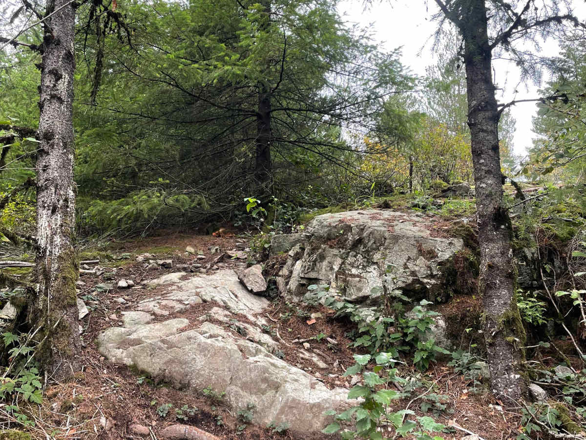 The Wall | Off-Road Trail Maps, Difficulty, Trail Status | onX Offroad