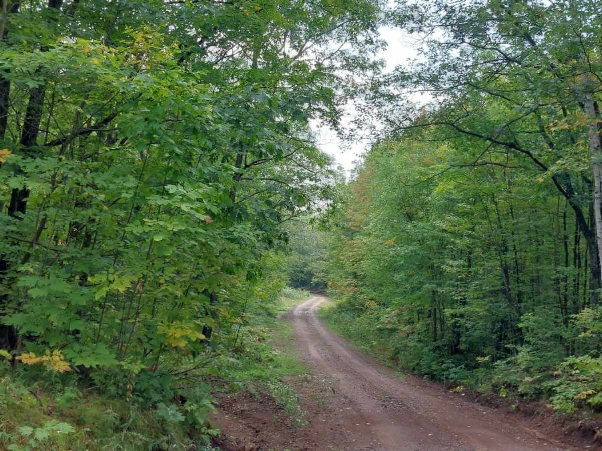 Caledonia Road | Off-Road Trail Maps, Difficulty, Trail Status | onX ...