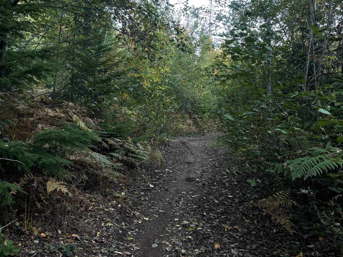 Black and Blue Connector | Off-Road Trail Maps, Difficulty, Trail ...