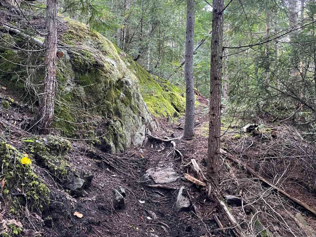 Toothless Part 1 | Off-Road Trail Maps, Difficulty, Trail Status | onX ...