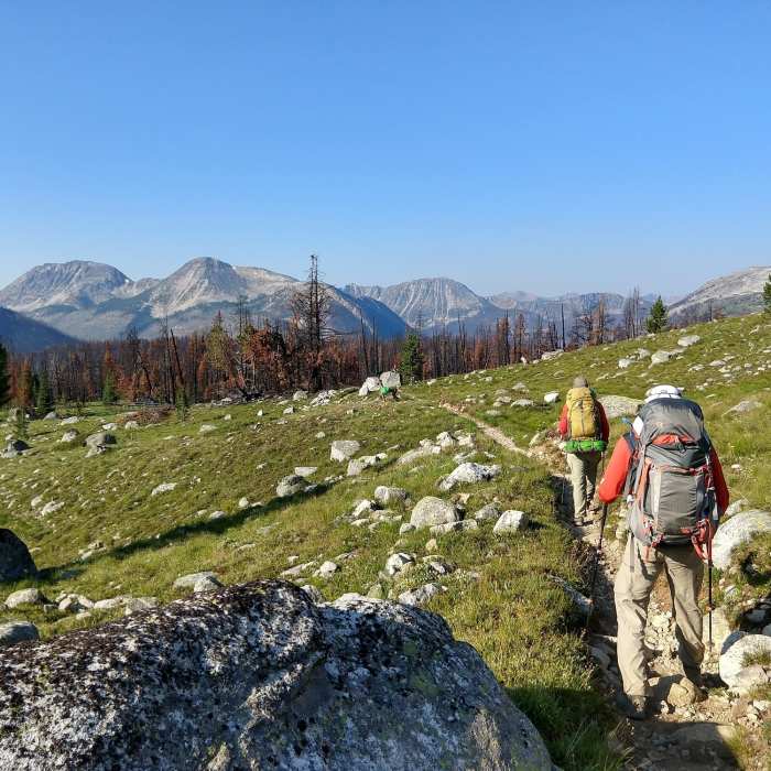 Pasayten Wilderness Loop Hiking Trail | Map, Difficulty, Trail Status | onX