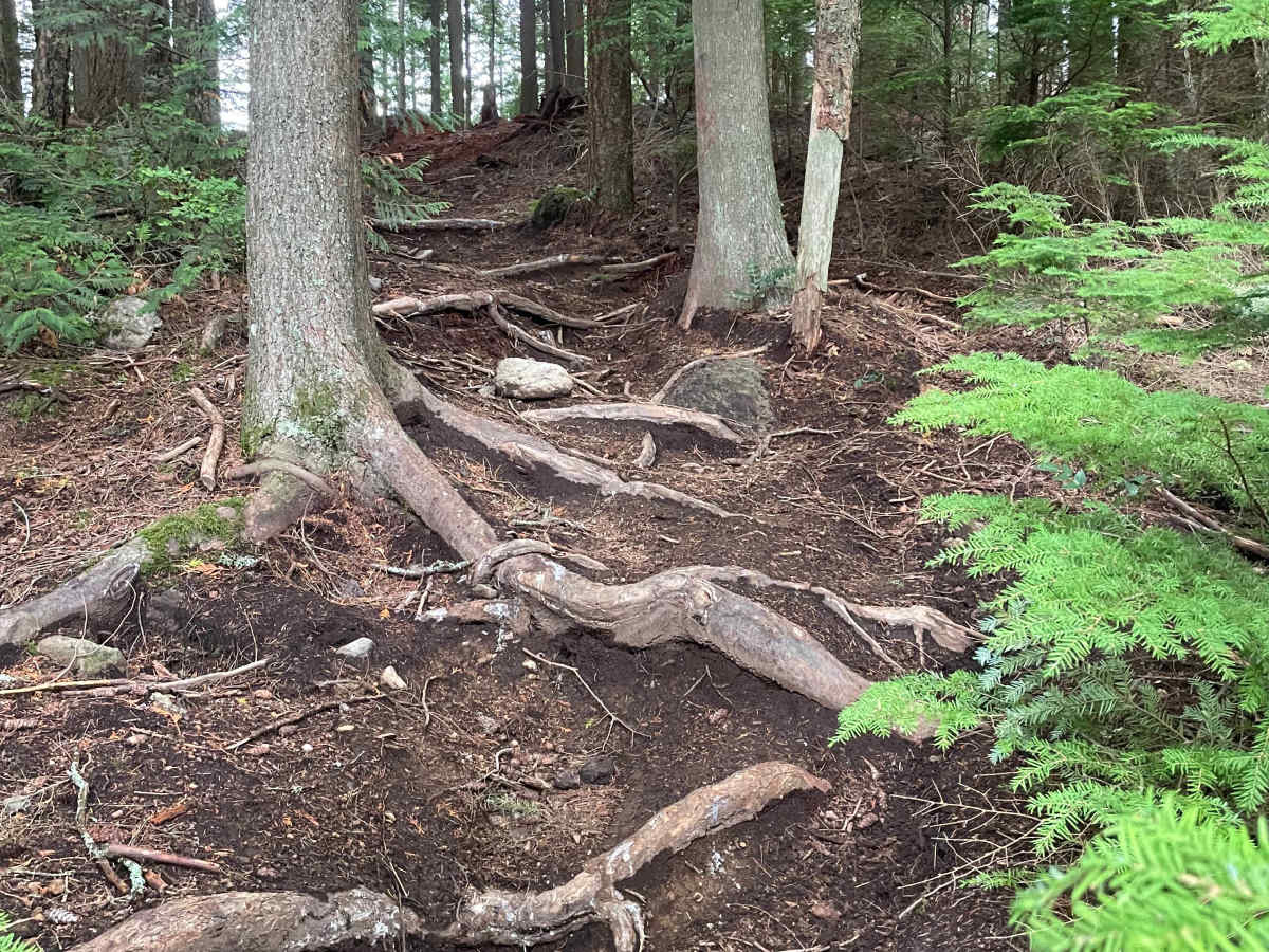 Easy Way | Off-Road Trail Maps, Difficulty, Trail Status | onX Offroad
