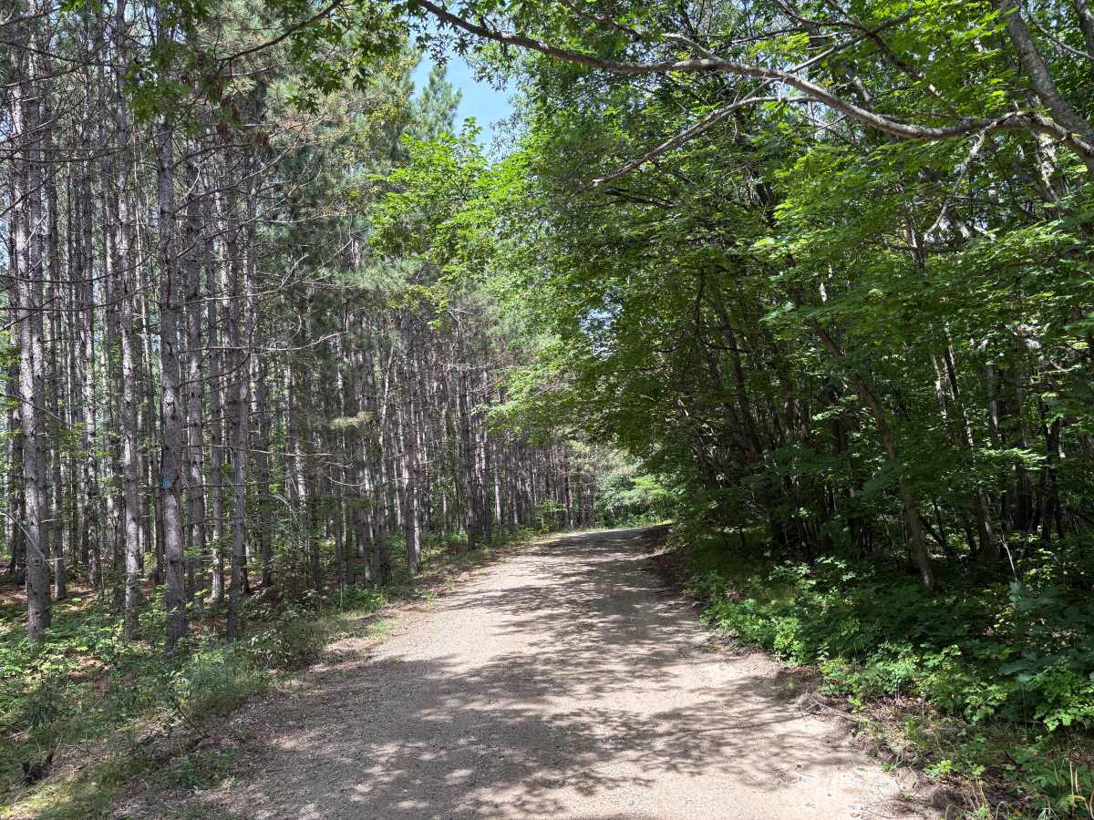 Rat Lake Trail | Off-Road Trail Maps, Difficulty, Trail Status | onX ...